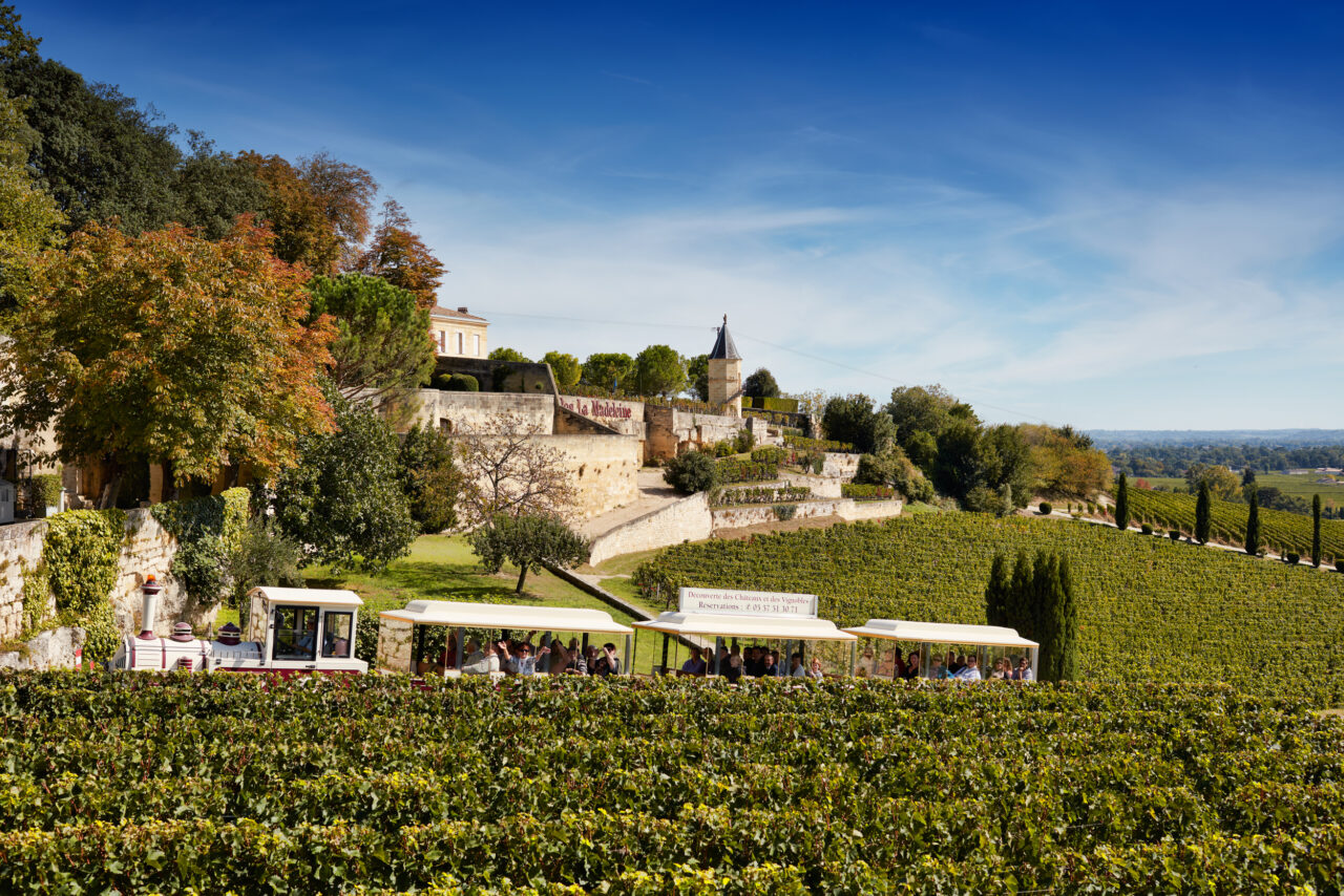 INDIVIDUAL | TRAIN DES GRANDS VIGNOBLES